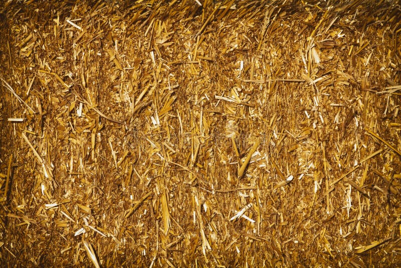Dry Straw Texture Background Stock Image - Image of nature, gold: 160344901