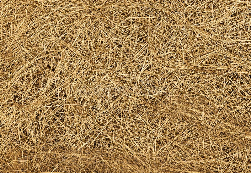 Dry Straw Texture, Backround Stock Image - Image of golden, autumn ...