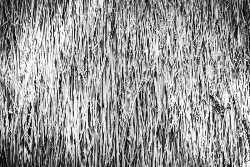 Dry Straw Texture Black and White Stock Image - Image of backdrop, dark ...