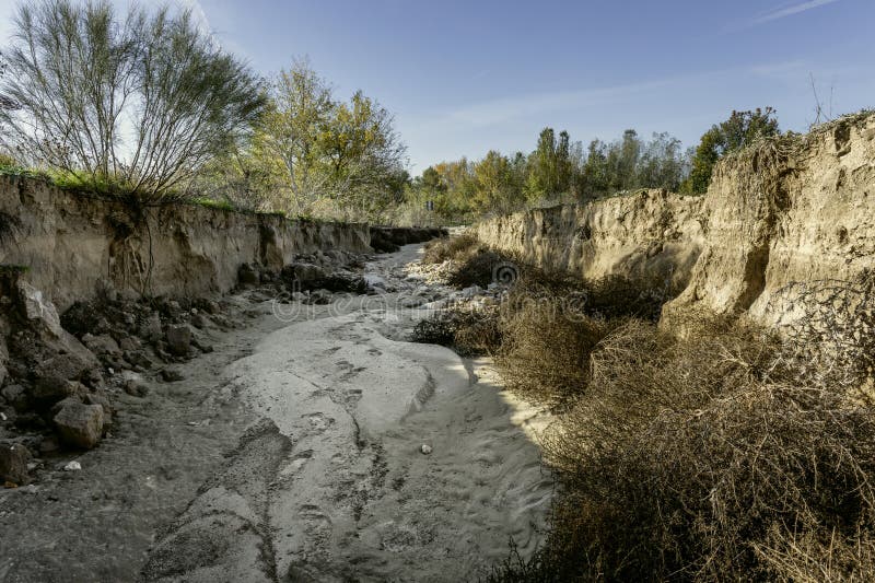 Dry Stream Basin with Sand in the Bed, Weeds and Dirt Stock Photo ...