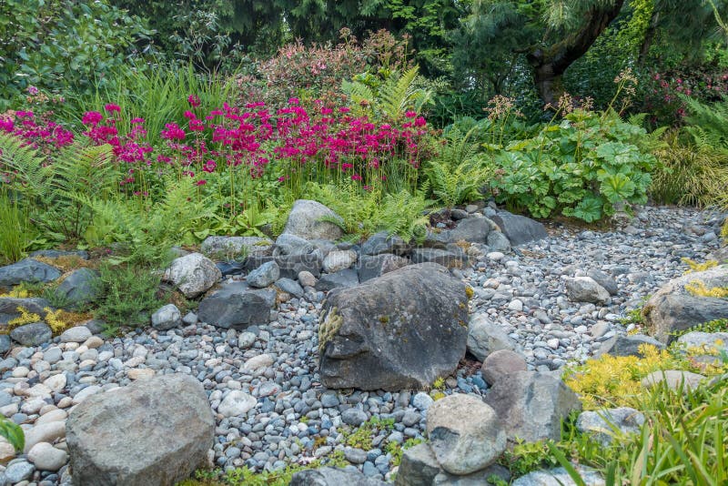 Dry Stream Bed and Red Flowers Stock Photo - Image of flora, flowers ...