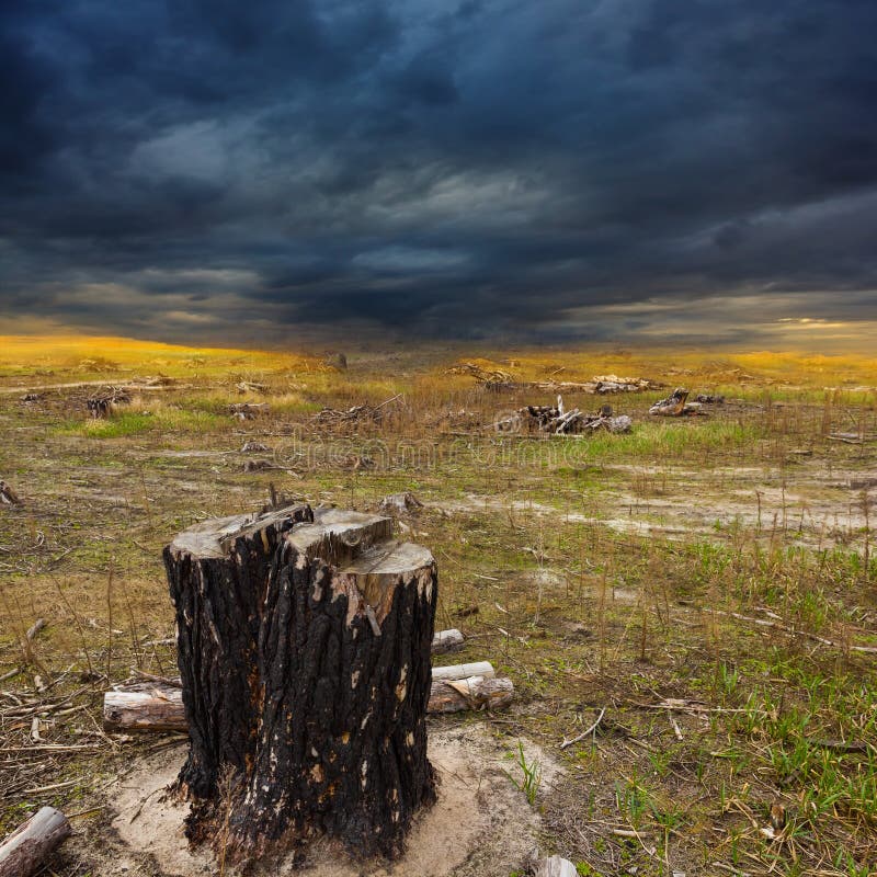 Dry Stump Badlands Stock Photos - Free & Royalty-Free Stock Photos from ...