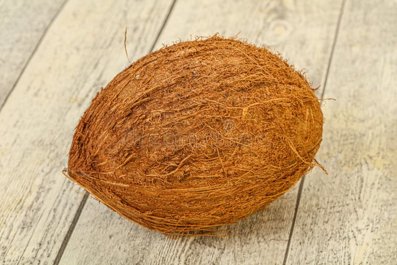 Dry Sweet Coconut with Milk Stock Photo - Image of coconut, brown ...