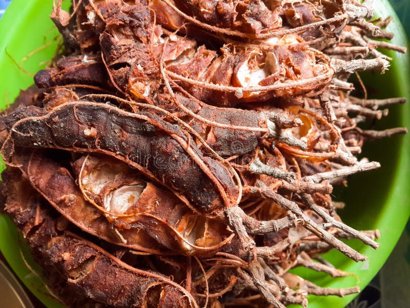 Dry tamarind for cooking stock image. Image of fruit - 74966255