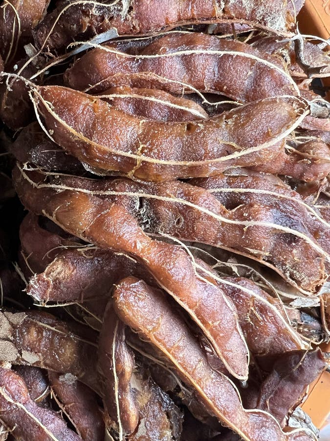 Dry Tamarind Fruit in Market Stock Image - Image of natural, food ...