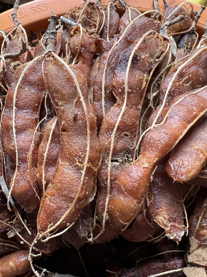 Dry Tamarind Fruit in Market Stock Photo - Image of spice, tasty: 279078678
