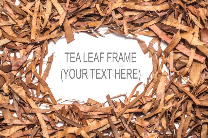 Dry tea leaf square frame stock photo. Image of small - 55727828