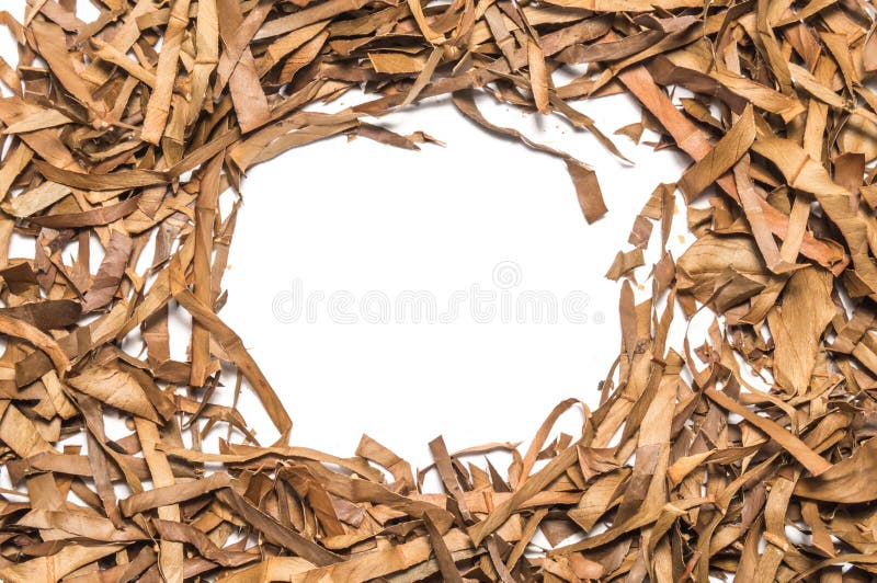 Dry tea leaf square frame stock photo. Image of foliage - 55727884