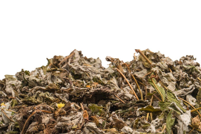 Dry Tea Leaves and Dry Fruit Isolated on White Background Stock Image ...