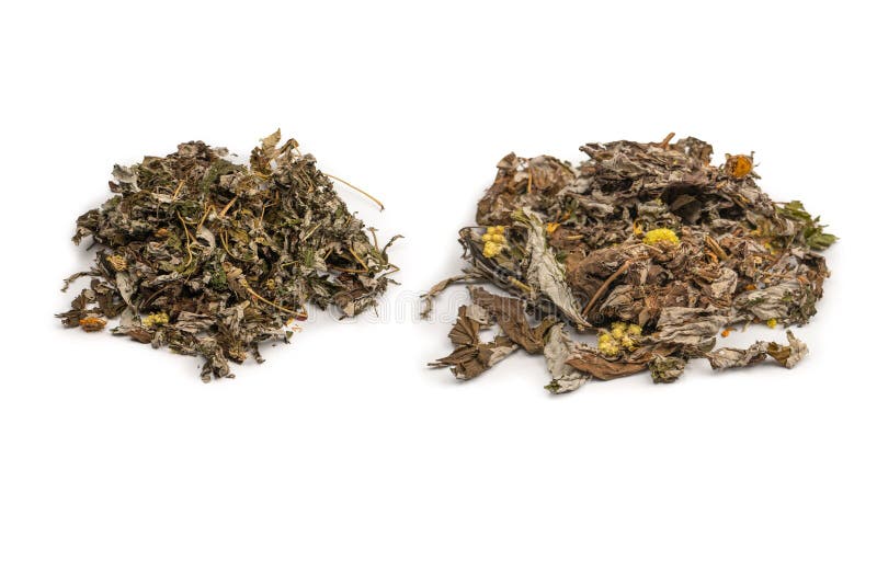 Dry Tea Leaves and Dry Fruit Isolated on White Background Stock Photo ...