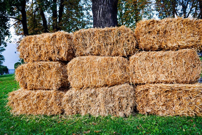 Dry thatch stock image. Image of stack, straw, cube, backdrop - 73798213