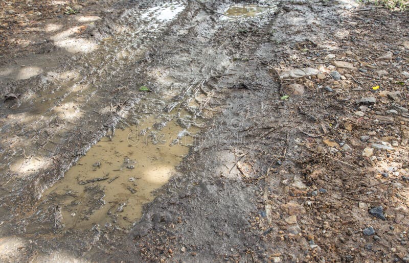 Dry tire track stock photo. Image of tough, brown, trail - 43819240