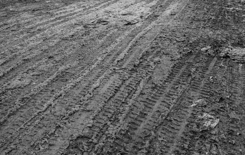 Dry tire track stock photo. Image of brown, transport - 44345208