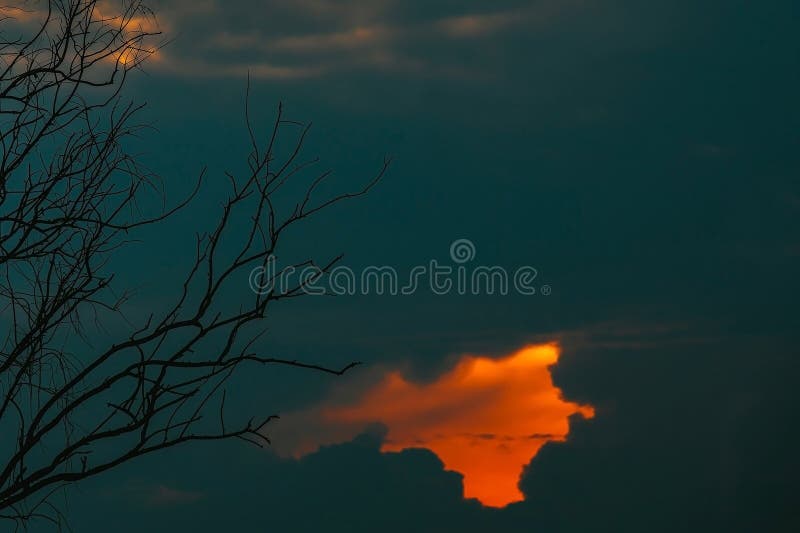 Dry Tree Branch with Dramatic Clouds on the Sunset or Evening Time ...
