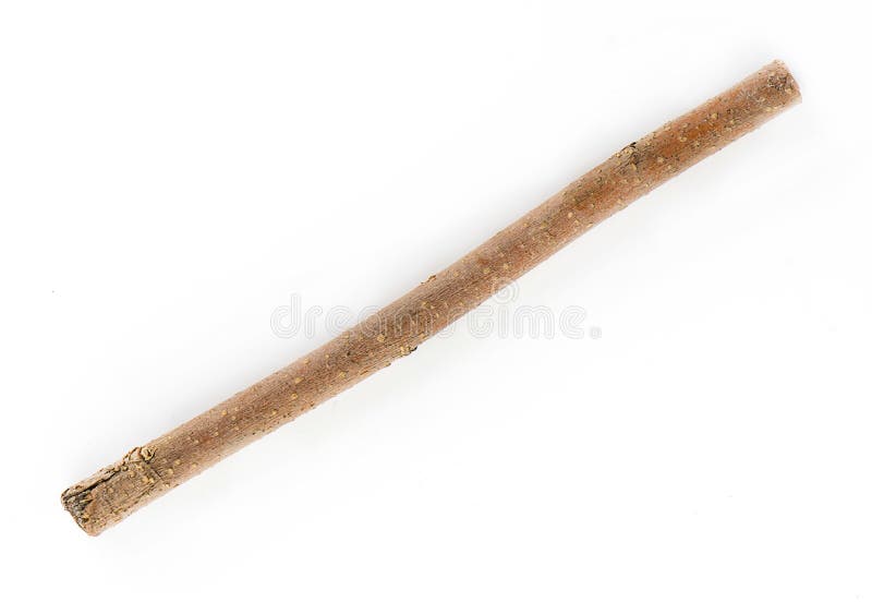 Dry Tree Branch Isolated on White Background Stock Image - Image of ...