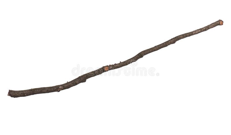 Stick Branch