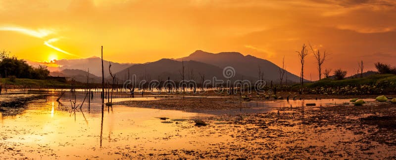 Dry Tree with Lake and Mountain in Sunset Stock Photo - Image of bright ...