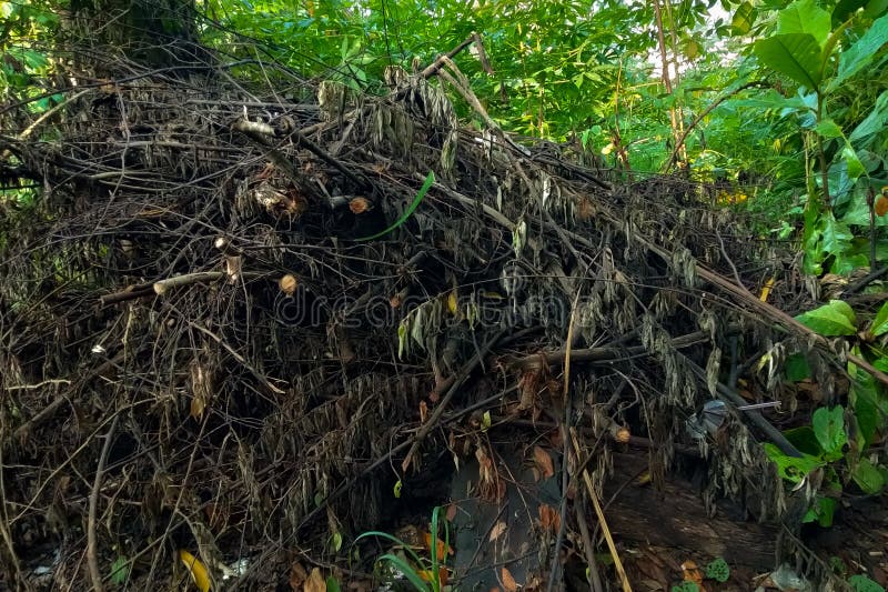 Dry Tree Leaf Waste in the Garden Stock Image - Image of house, leaves ...