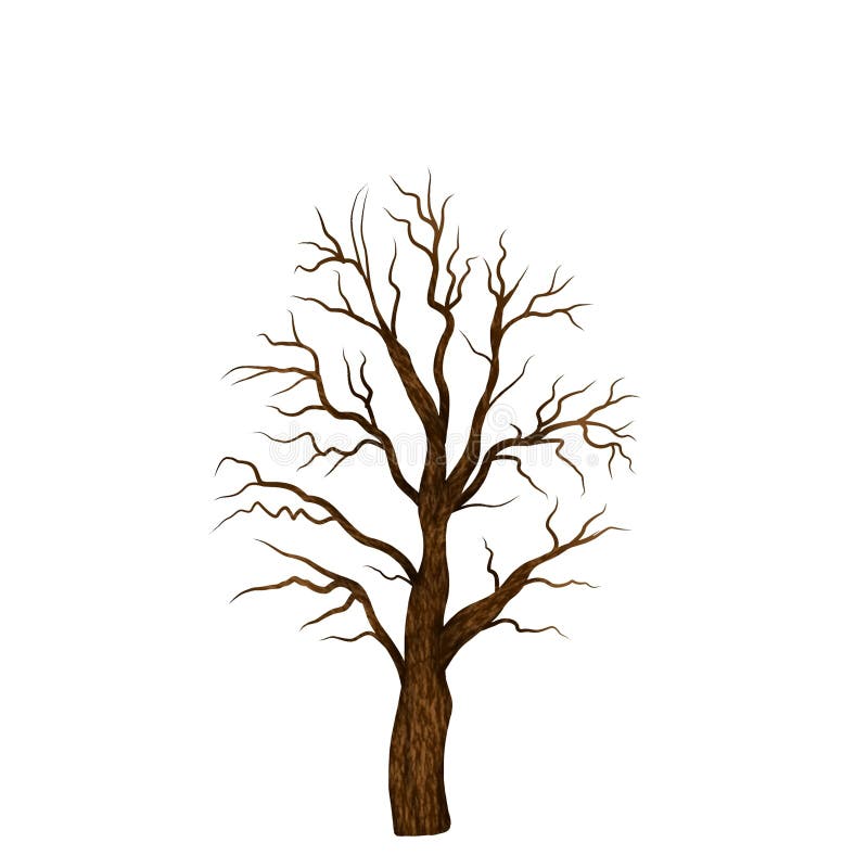 Transparent Clip Art Tree