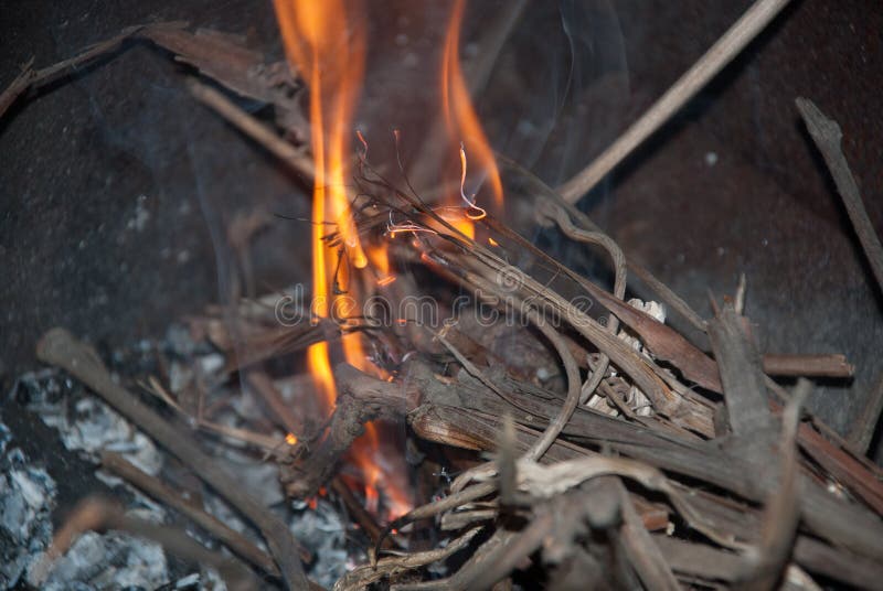 196 Fire Burning Dry Twigs Stock Photos - Free & Royalty-Free Stock ...