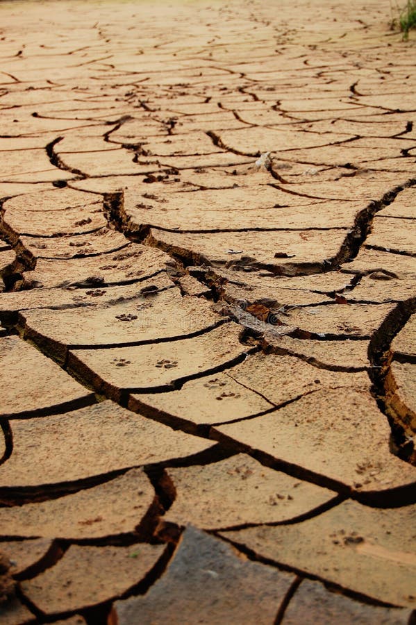 Dry up stock photo. Image of background, environment, soil - 7165318