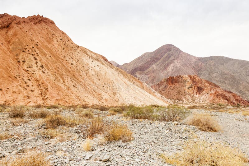 Dry vegetation stock photo. Image of barren, arid, dividing - 37563712
