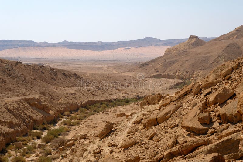 Dry wadi in Negev desert. stock photo. Image of mountain - 101293372