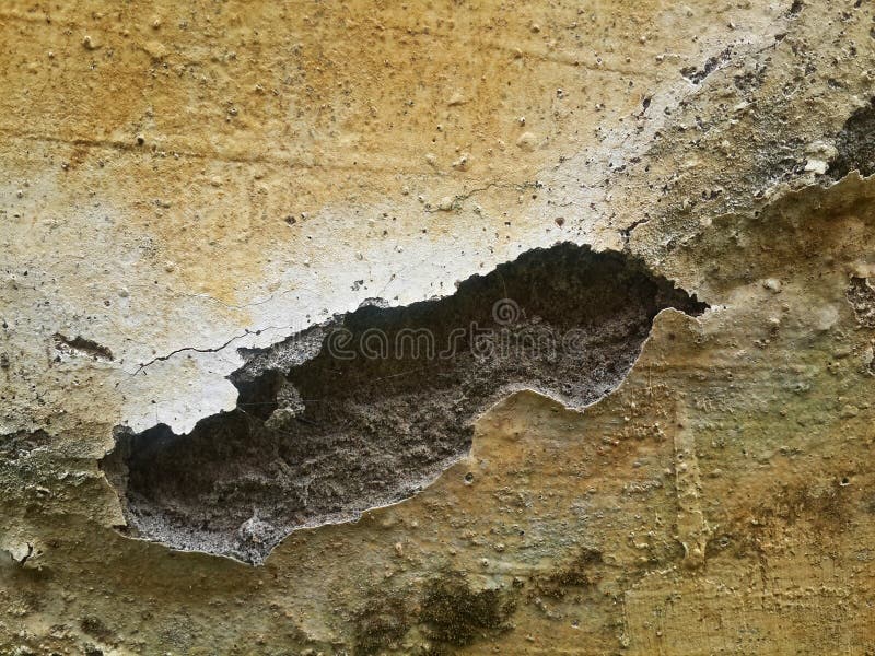 Dry Wall Peeling Stucco until it is Visible Stock Photo - Image of wood ...