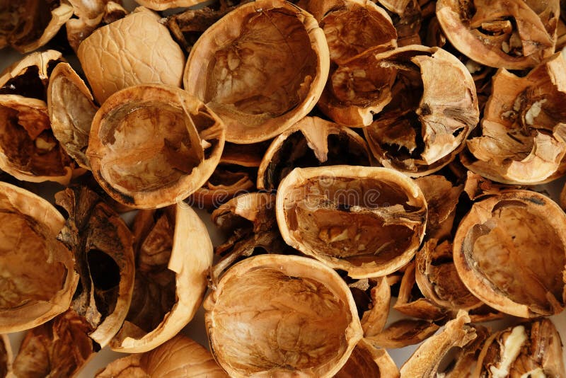 Dry Walnut Shell Close Up, Texture Background Stock Photo - Image of ...