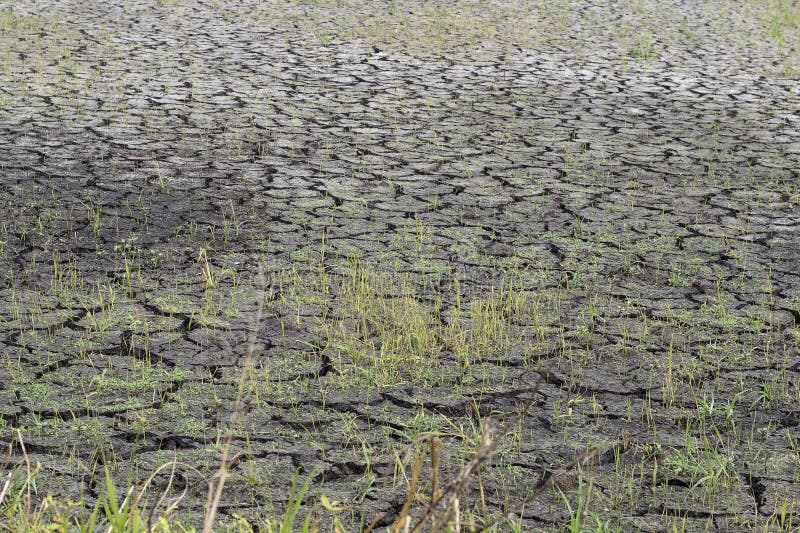 Dry Wells, Pond without Water, , Cracked Ground without Water Stock ...