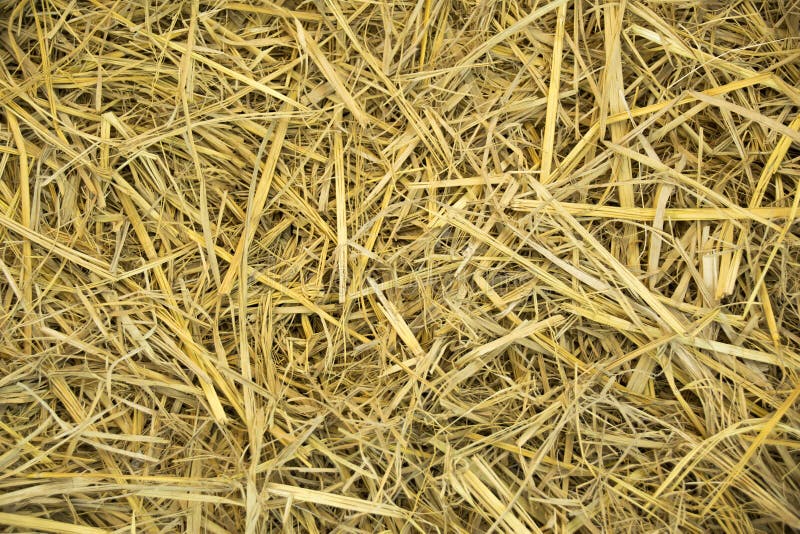 1,582 Wheat Straw Material Stock Photos - Free & Royalty-Free Stock ...