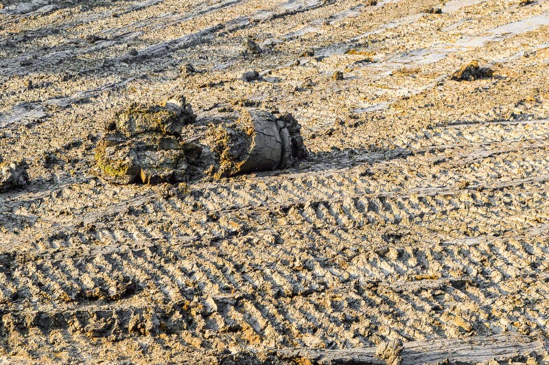 Dry Wheel Track on Dirt Soil Texture Stock Photo - Image of dirt ...