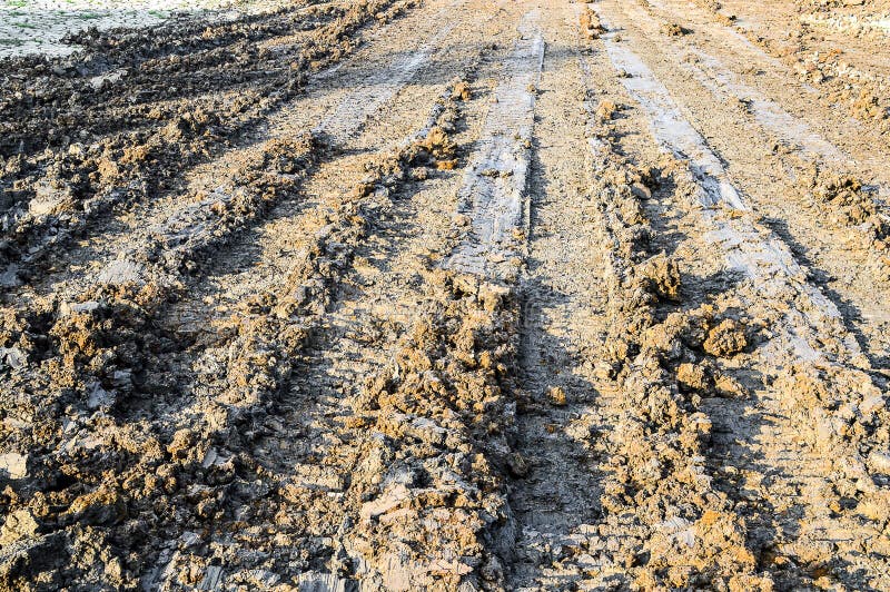 Dry Wheel Track on Dirt Soil Texture Stock Photo - Image of soil ...