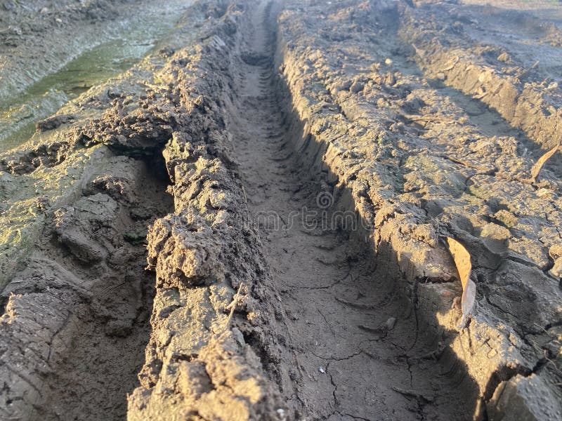 Dry Wheel Track on Dirt Soil Texture Stock Image - Image of dirt ...
