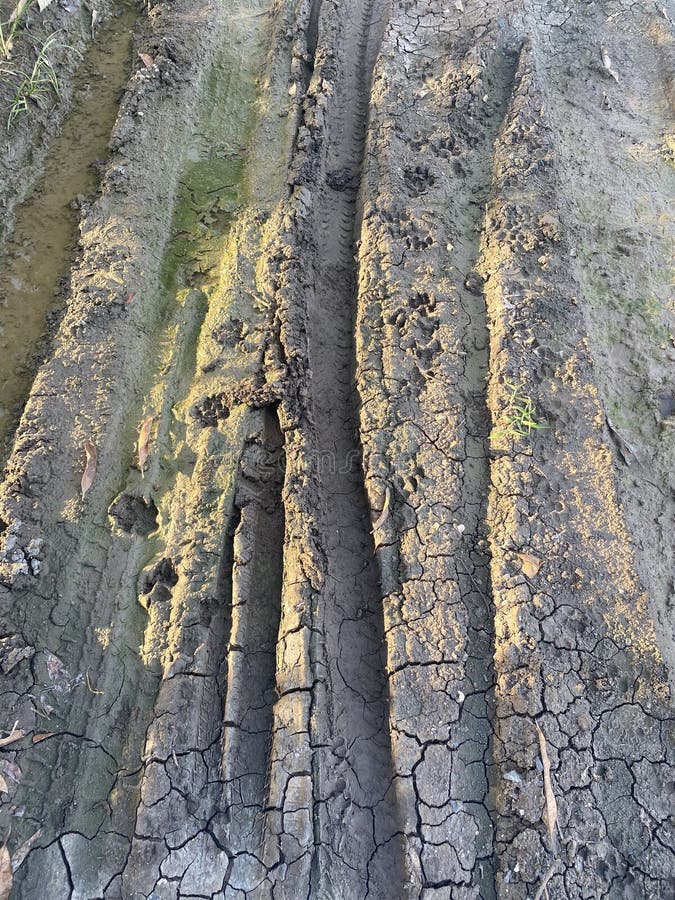 Dry Wheel Track on Dirt Soil Texture Stock Photo - Image of rugged ...