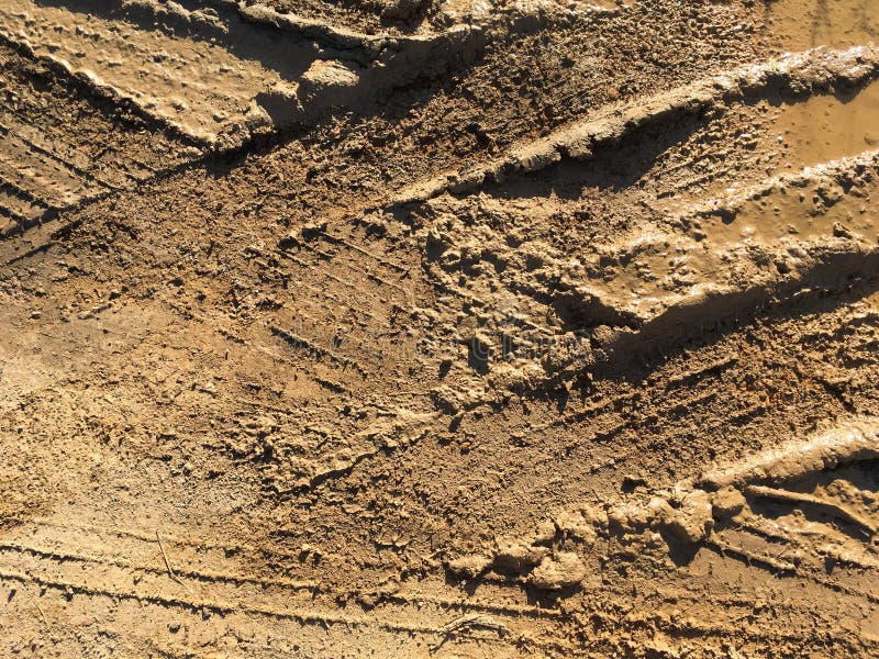 Dry Wheel Track on Dirt Soil Texture Stock Photo - Image of nature ...