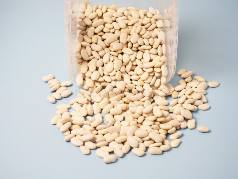 Dry white beans stock photo. Image of fagioli, food - 239993782