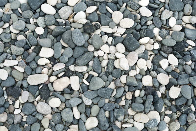 Dry White and Gray Pebbles Texture Stock Image - Image of white ...