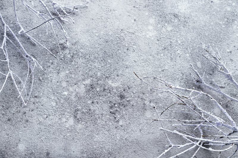 Dry White Tree Branch on Stone Background, Flat Lay with Copy Space ...