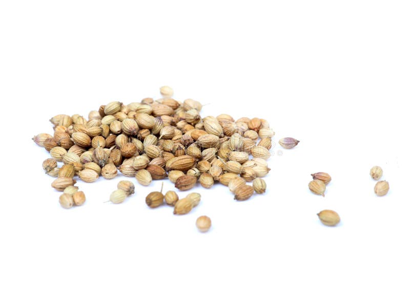 Dry whole coriander seeds stock image. Image of coriander - 64175077