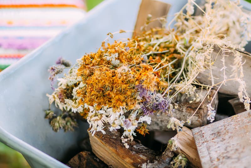 Dry Wildflowers and Grass Close Up. Rustic Decor Stock Photo - Image of ...