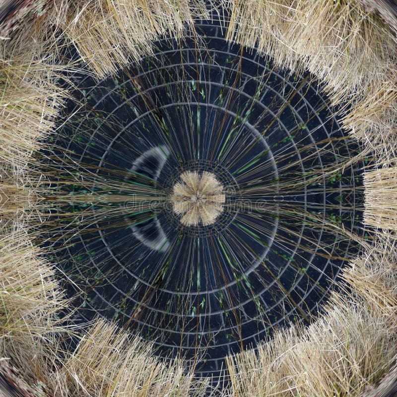 Dry Winter Plants Abstract Background Stock Photo - Image of background ...