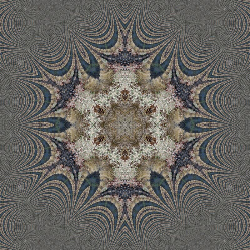 Dry Winter Plants Abstract Background Stock Image - Image of background ...