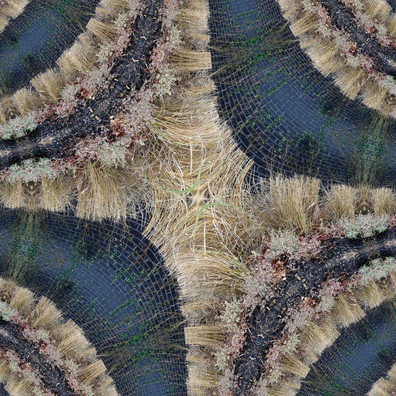 Dry Winter Plants Abstract Background Stock Photo - Image of background ...