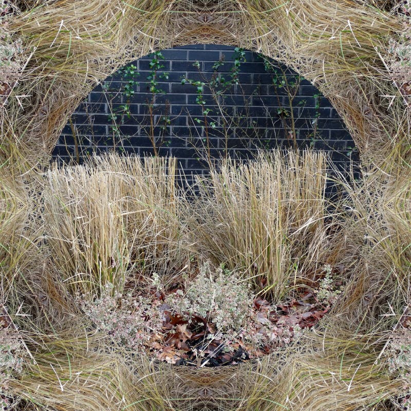 Dry Winter Plants Abstract Background Stock Photo - Image of winter ...