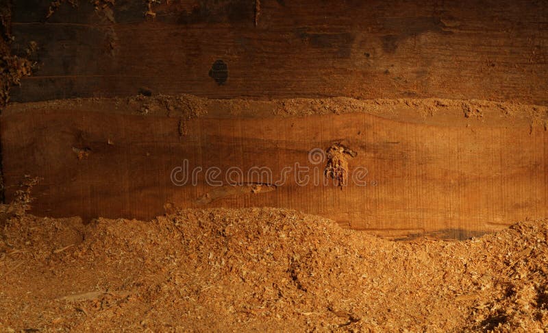 Dry Wood Powder, Background of Teak Wood Board Stock Photo - Image of ...