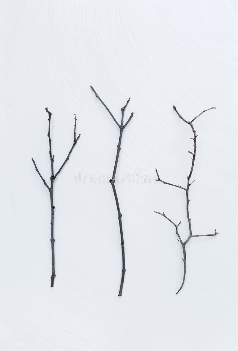 35,733 Wood Stick Texture Stock Photos - Free & Royalty-Free Stock ...