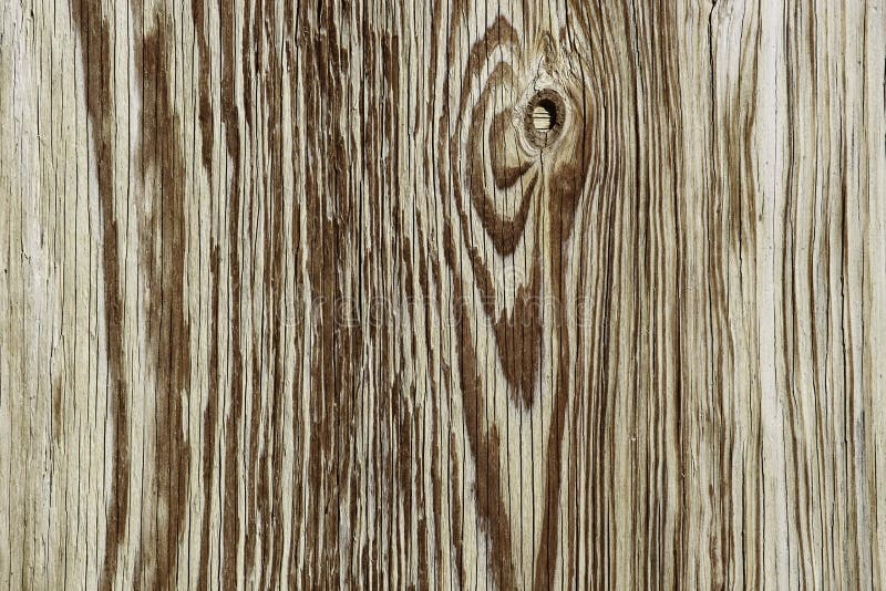 Dry Wood Texture stock photo. Image of nature, textured - 34052332