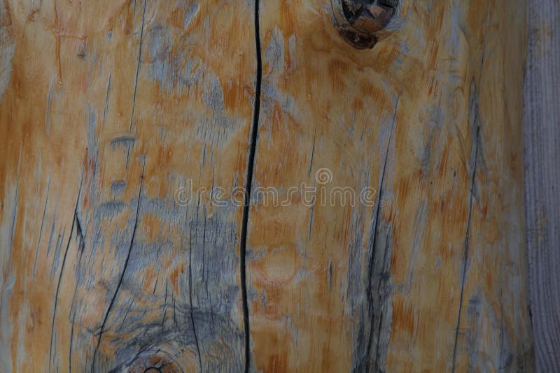 Dry wood texture stock image. Image of pattern, shadow - 76884225