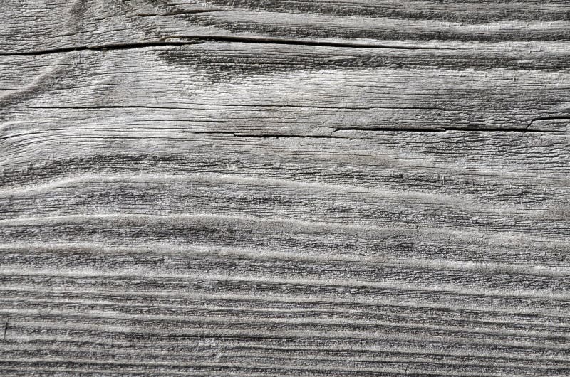 Dry wood texture stock image. Image of board, color - 131204163